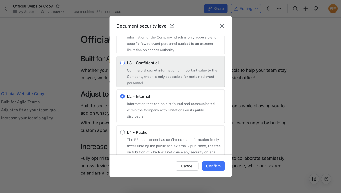 Set security levels for documents