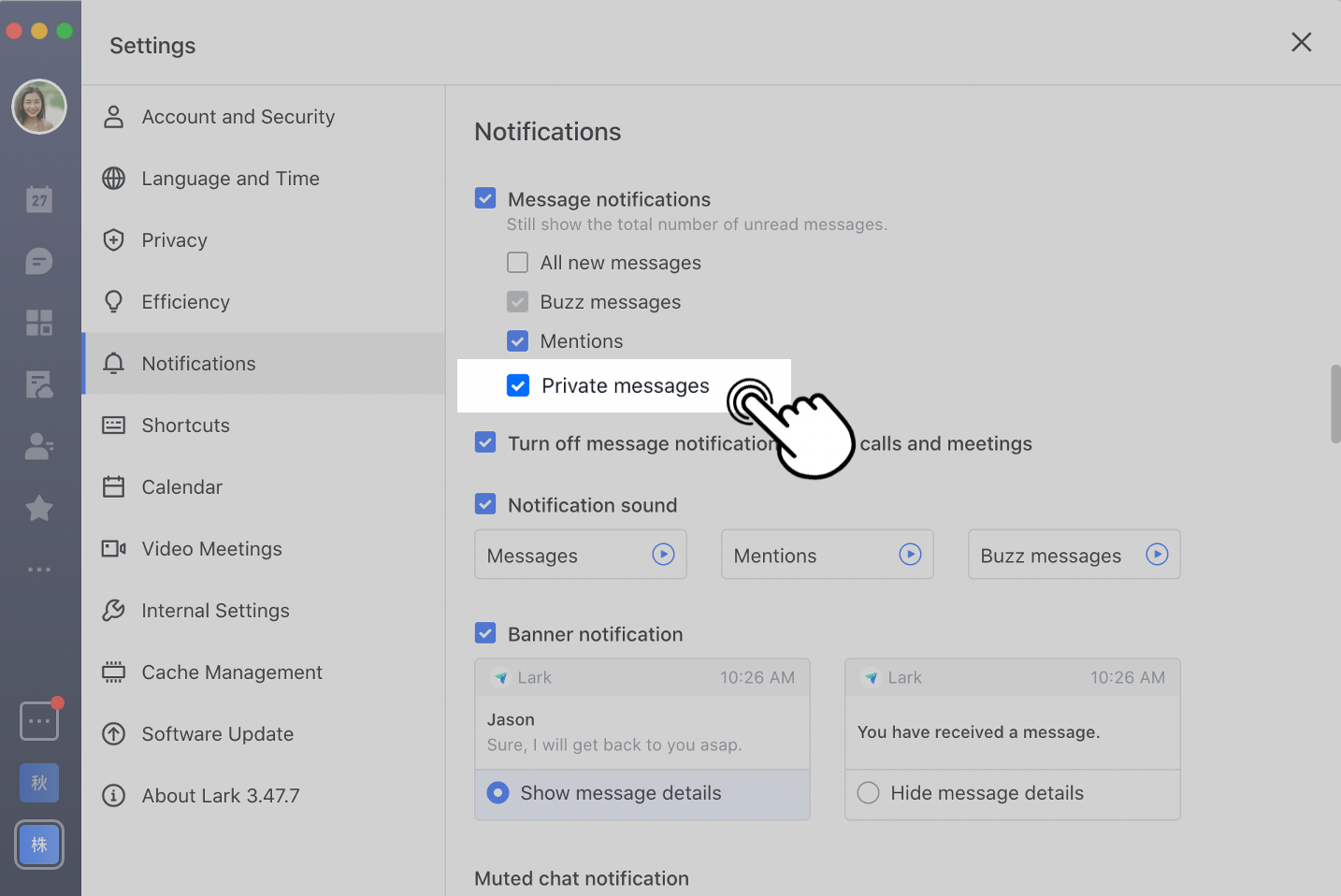 V3.47 Notifying private messages only is available